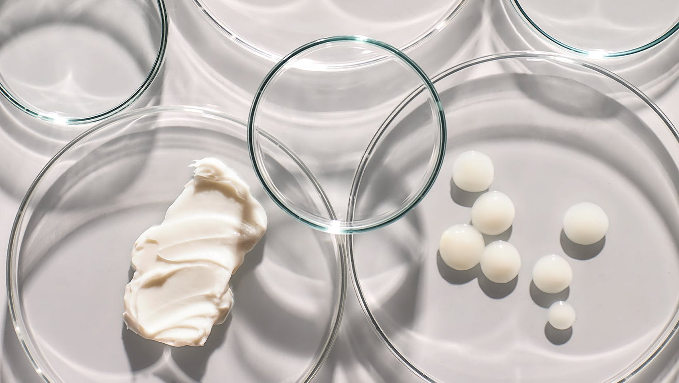 Codex LABS Plant-based Biotech Skincare Rooted in Data | Loshen & Crem